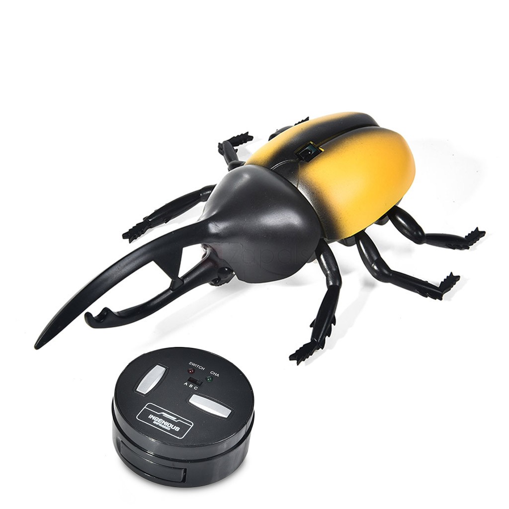 RC Rhino Beetle Remote Control Insect Prank Toy - BXNXG - Actualité ...